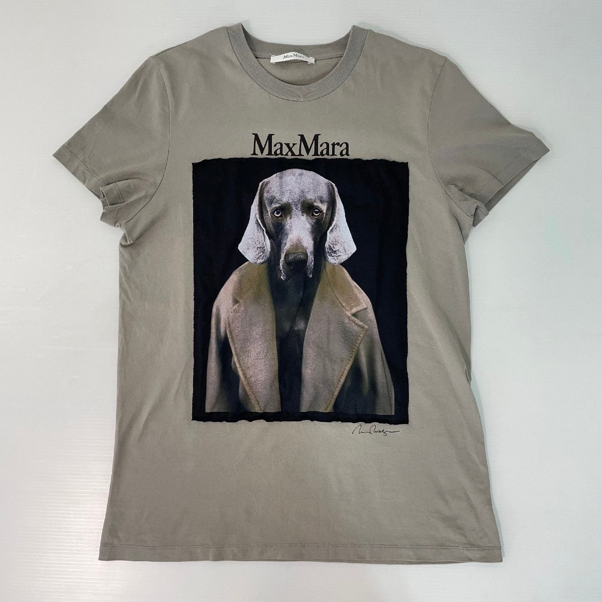 送料198円 MaxMara マックスマーラ トップス 半袖Tシャツ プリント Dogstar 犬 サイズ:不明 グレー(半袖Tシャツ)｜売買されたオークション情報、yahooの商品情報を ...