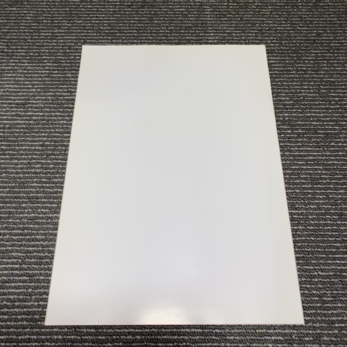 昭和技研 コロコロダイノ フィーバーパイレーツ カタログ チラシ キッズメダル SHOKEN(カタログ、取説)｜売買されたオークション情報 ...