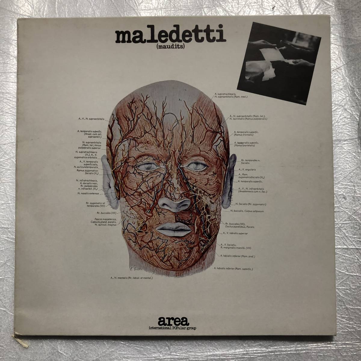 伊 Orig Area/Maledetti(一般)｜売買されたオークション情報、yahooの商品情報をアーカイブ公開 - オークファン ...