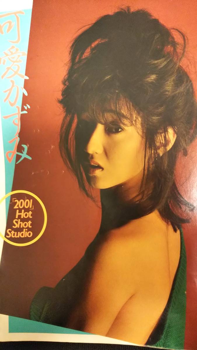 レア 2001 1985年4月号 表紙斉藤慶子 グラビア 可愛かずみ 片山みゆき(サブカルチャー)｜売買されたオークション情報、yahooの商品情報をアーカイブ公開 - オークファン ...