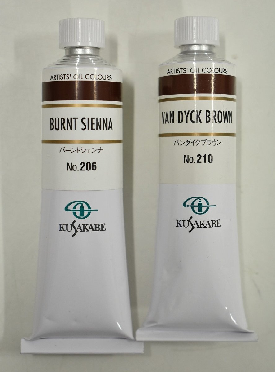 竜B568 画材 KUSAKABE クサカベ アーティスト オイルカラー 油絵具 40ml 15本 NO.210/206/214/088/208/261/002/021/061/073/241 ...