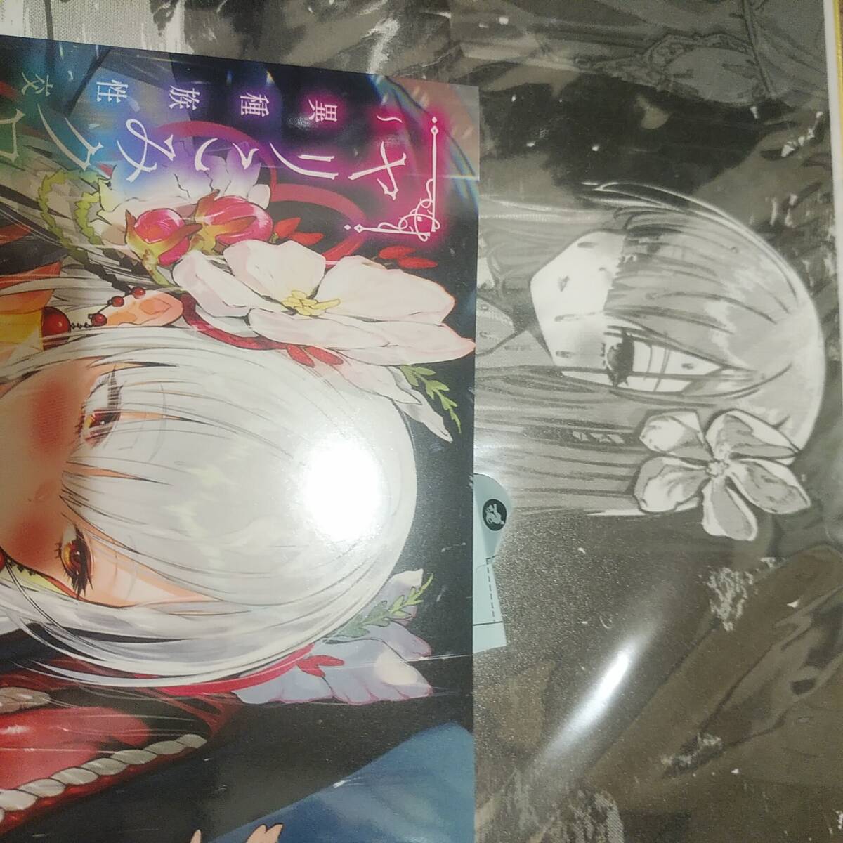 ヤリこみクロニクル 異種族性交記 Croriin 複製サイン入り複製色紙＆単行本セット / ワニマガジン社 COMIC快楽天 くろりーん(少年)｜売買されたオークション情報、yahooの商品 ...