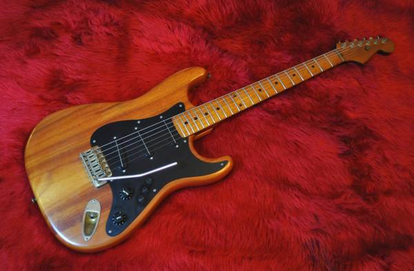 100スタ 幻の Fernandes FST-120 コアボデイ 石ロゴ期(フェルナンデス)｜売買されたオークション情報、yahooの商品情報 ...