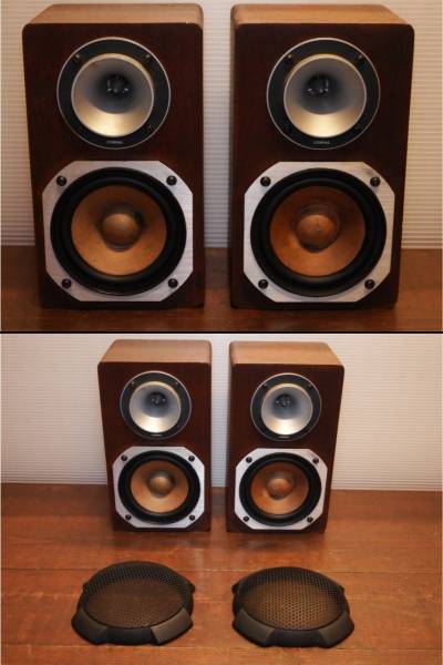 コーラル CORAL B-2X チーク材 レア(コーラル)｜売買されたオークション情報、yahooの商品情報をアーカイブ公開 - オークファン ...