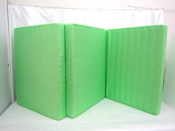 ヘルスウェーブ ゴールド すややか D.C.Version DCJ 品(健康用品、健康器具)｜売買されたオークション情報、yahooの商品情報をアーカイブ公開 - オークファン（aucfan.com）