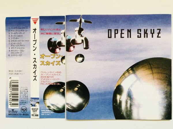 帯付日本盤 Open Skyz オープン スカイズ/Open Skyz BVCP 687 1993年盤(一般)｜売買されたオークション情報 ...