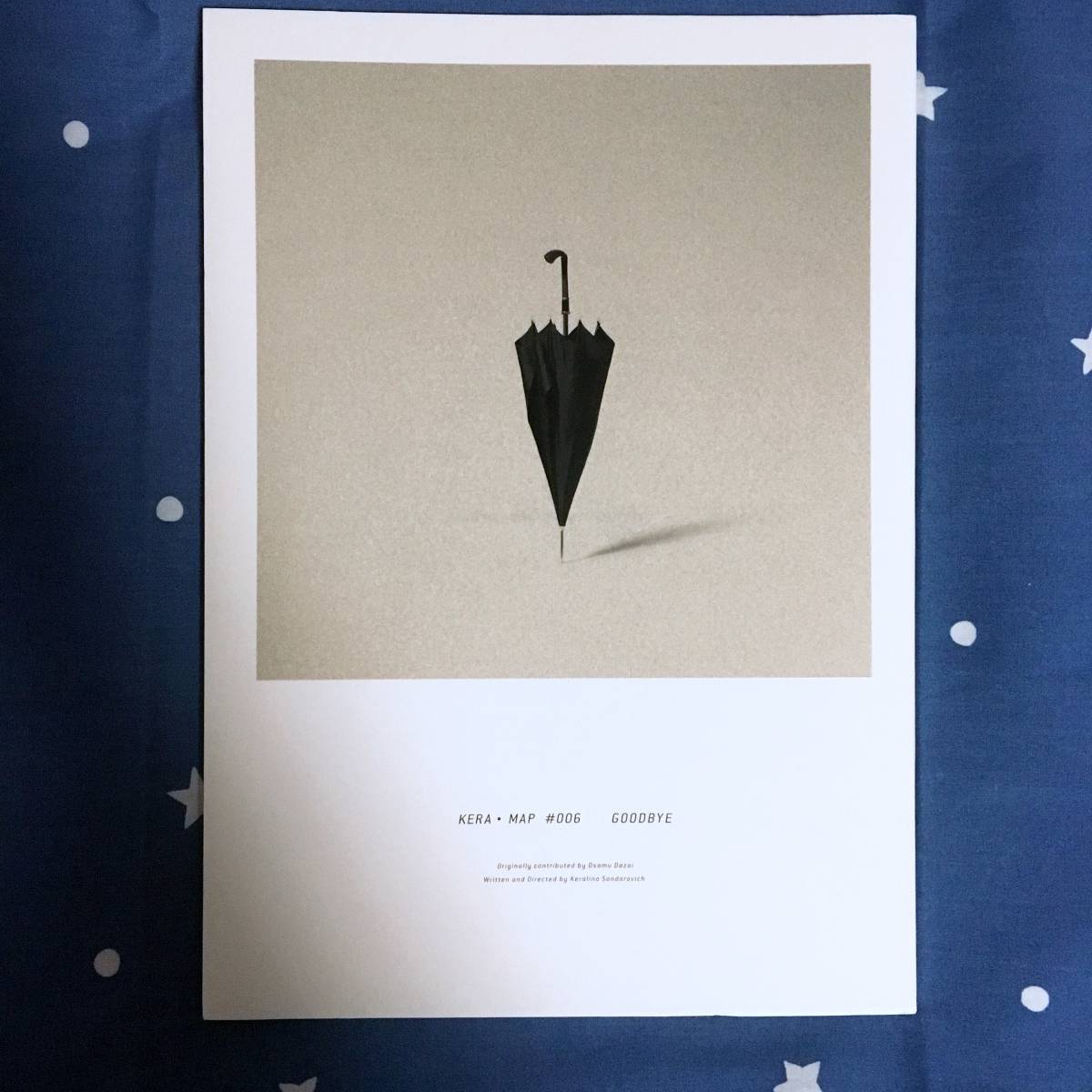 KERA MAP#006 GOOD BYE グッドバイ パンフレット 仲村トオル 小池栄子 水野美紀 ケラリーノ サンドロヴィッチ おまけつき(演劇一般)｜売買されたオークション情報 ...