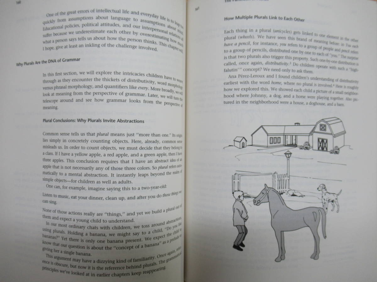 200409v21 洋書 The Prism of Grammar: How Child Language Illuminates ...