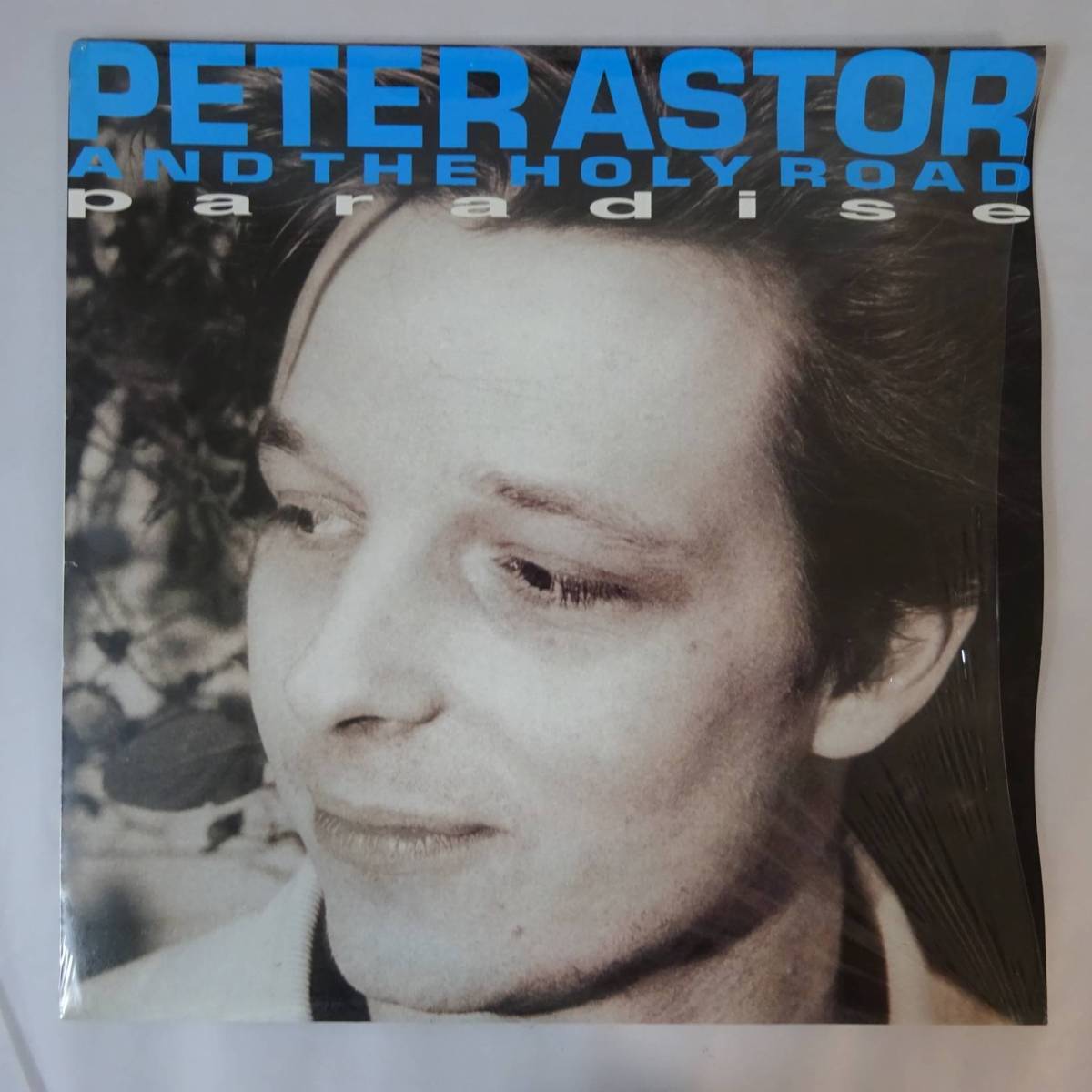 11114037; フランス盤/シュリンク Peter Astor & The Holy Road / Paradise(その他)｜売買されたオークション情報、yahooの商品情報をアーカイブ ...