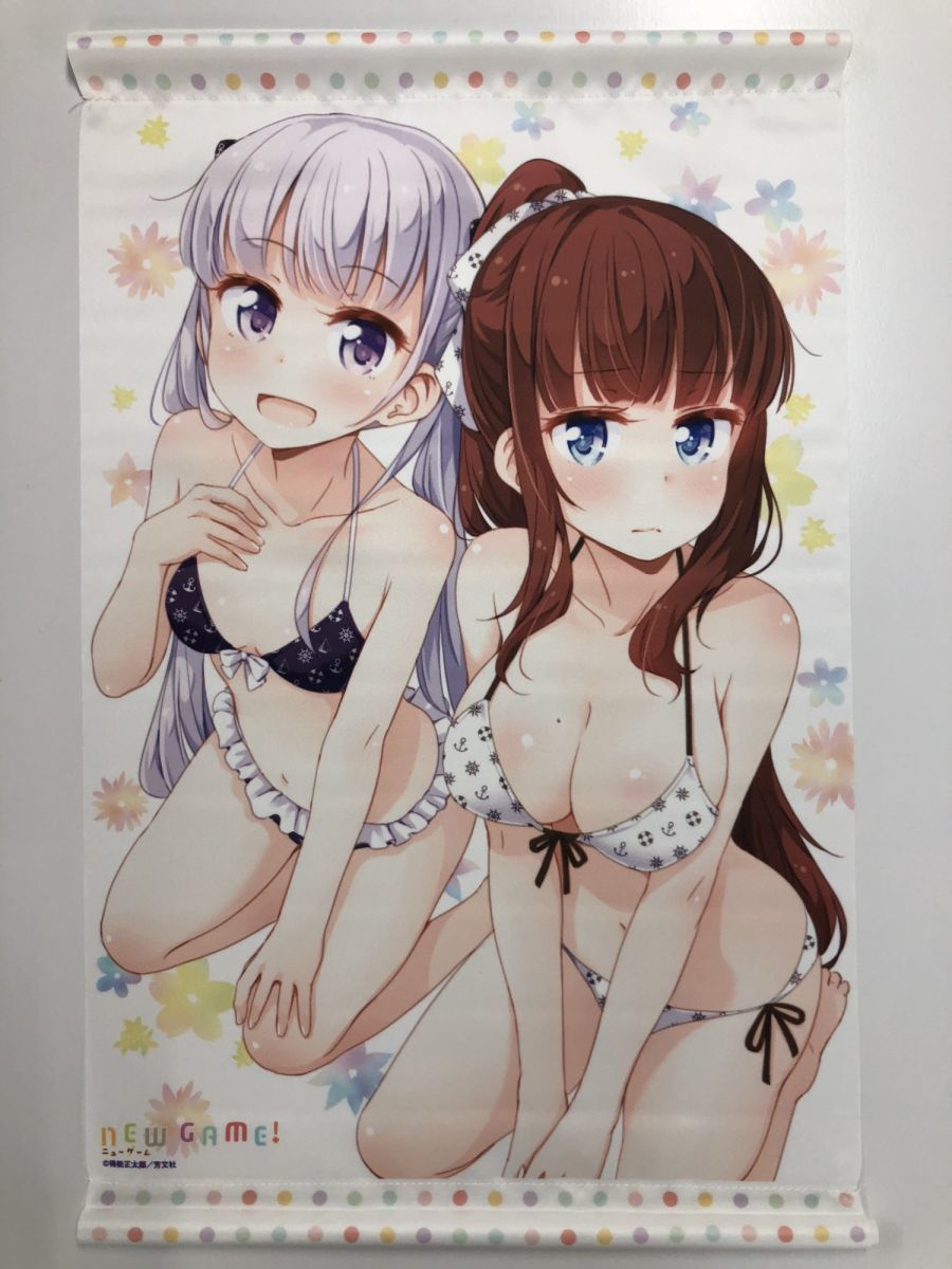 C02 グッズ NEW GAME A3タペストリー 涼風青葉&滝本ひふみ(タペストリー)｜売買されたオークション情報、yahooの商品情報をアーカイブ公開 - オークファン（aucfan.com）