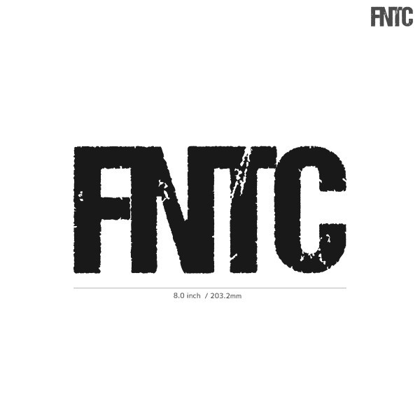 FNTC エフエヌティーシー 02 ダイカットステッカー 切抜きステッカー 8.0インチ 20.3cm(ステッカー)｜売買されたオークション ...