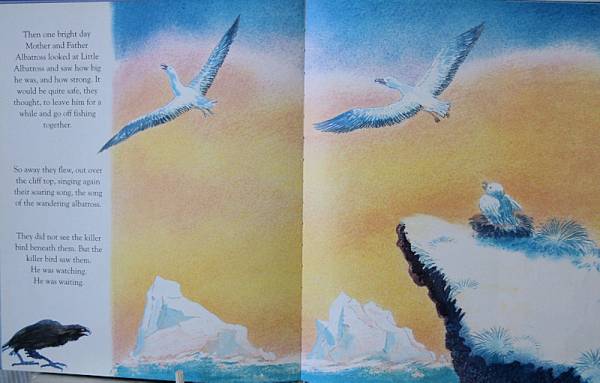 Michael Morpurgo 著 Little Albatross used(洋書、外国語絵本)｜売買されたオークション情報、yahooの ...