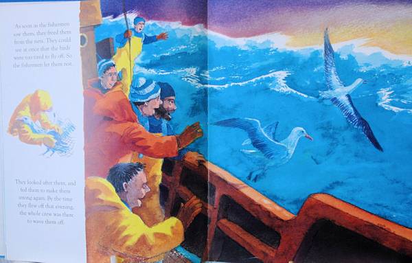 Michael Morpurgo 著 Little Albatross used(洋書、外国語絵本)｜売買されたオークション情報、yahooの ...