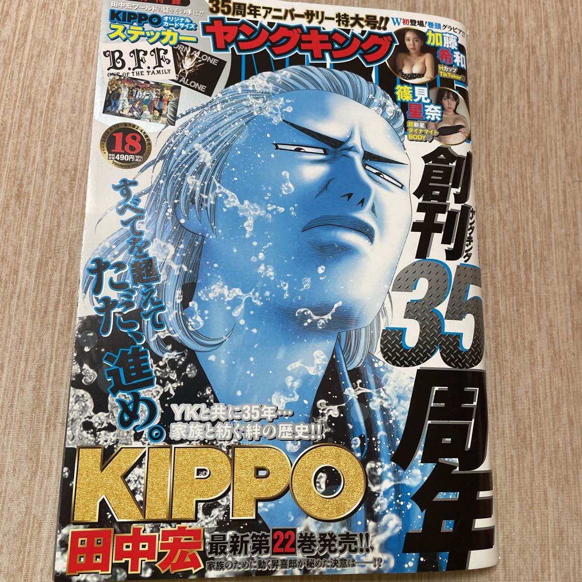ヤングキング2022/18号 加藤希和 篠見星奈 KIPPOオリジナルカードサイズステッカー(その他)｜売買されたオークション情報、yahooの商品情報をアーカイブ公開 - オークファン ...
