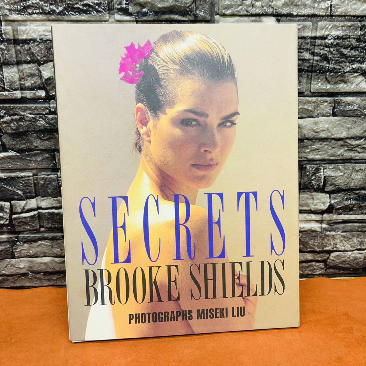 ブルックシールズ 写真集 BROOKE SHIELDS SECRETS リウ ミセキ 初版(その他)｜売買されたオークション情報、yahooの ...