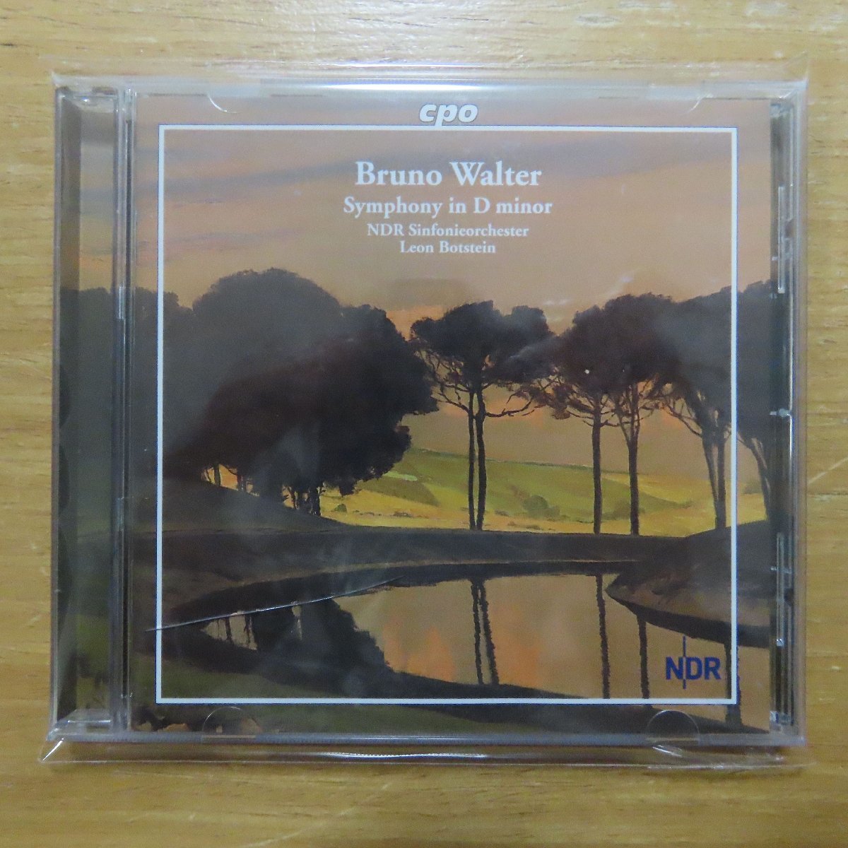 761203716326; 独cpo/CD レオン ボットスタイン / ブルーノ ワルター: 交響曲 ニ短調(その他)｜売買されたオークション ...