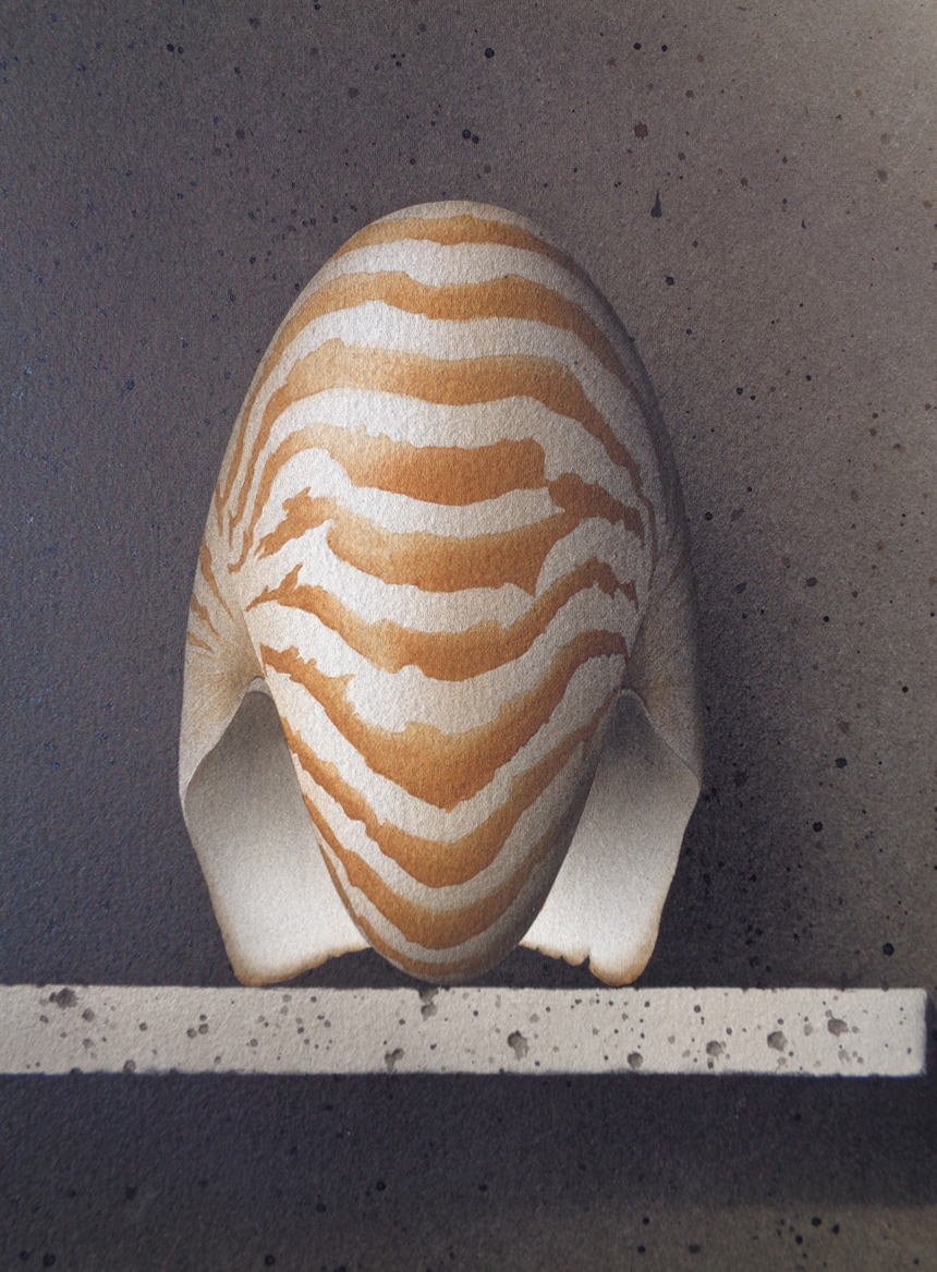 水彩原画一点物 15号以上 オッテルロー Chris van Otterloo 日本にも所縁の現代アーティスト アムステルダム国立美術館他蔵 ...