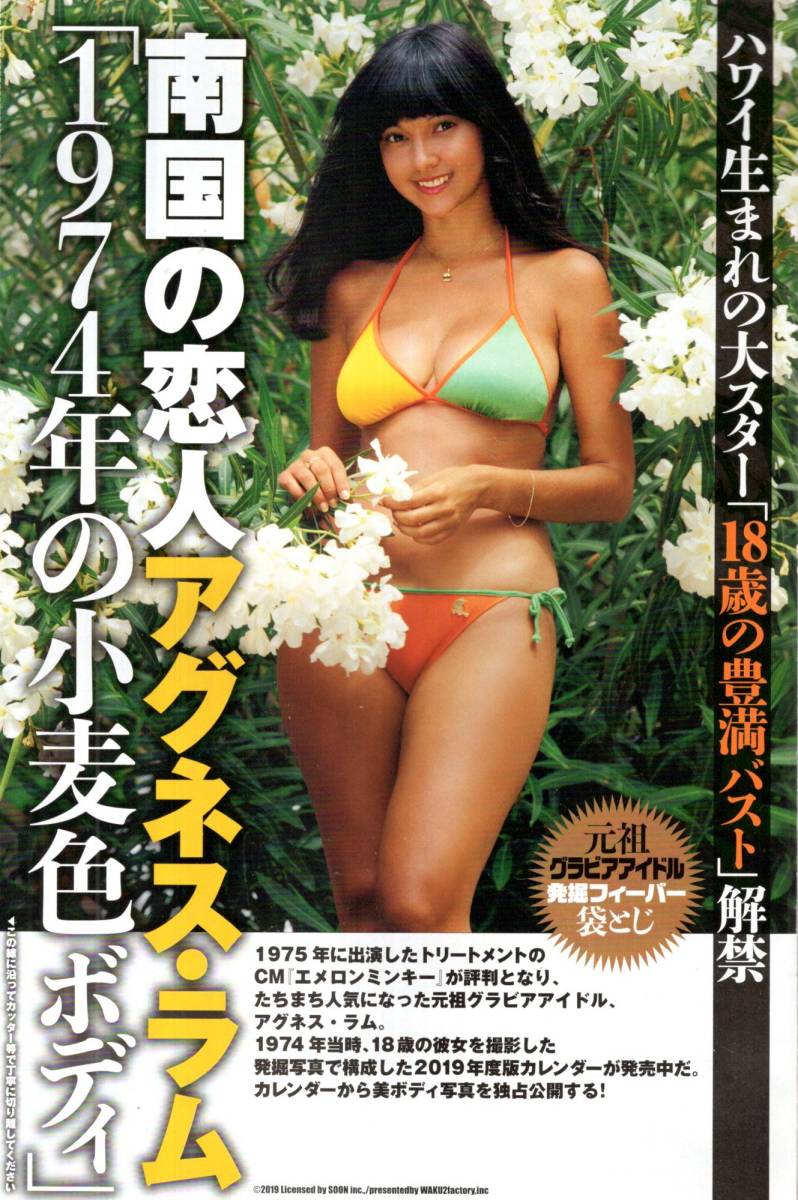 雑誌切抜き アグネス ラム 6ページ(その他)｜売買されたオークション情報、yahooの商品情報をアーカイブ公開 - オークファン ...