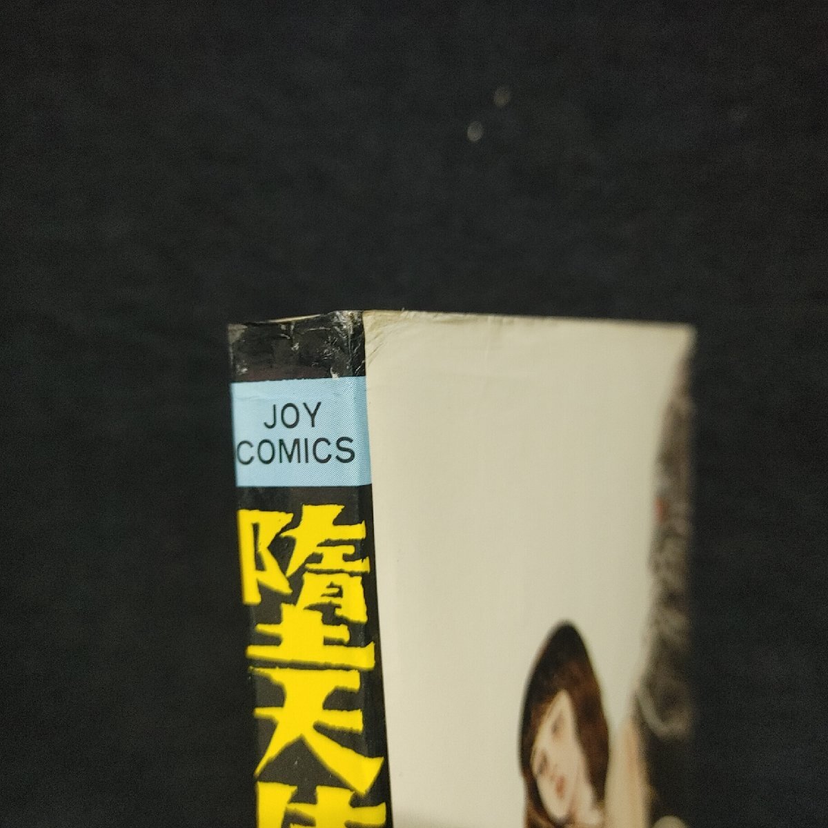 笠間しろう 堕天使 part2 JOYコミックス(青年)｜売買されたオークション情報、yahooの商品情報をアーカイブ公開 - オークファン（aucfan.com）