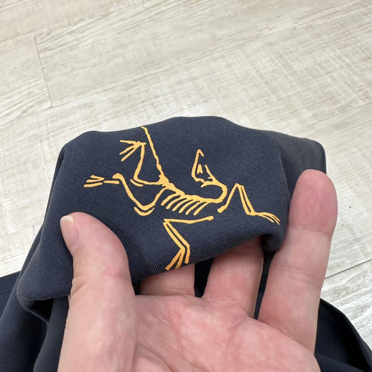 ARC'TERYX アークテリクス CAPTIVE SPLIT SS T-SHIRT キャプティブ スプリット Tシャツ ロゴ TEE ...