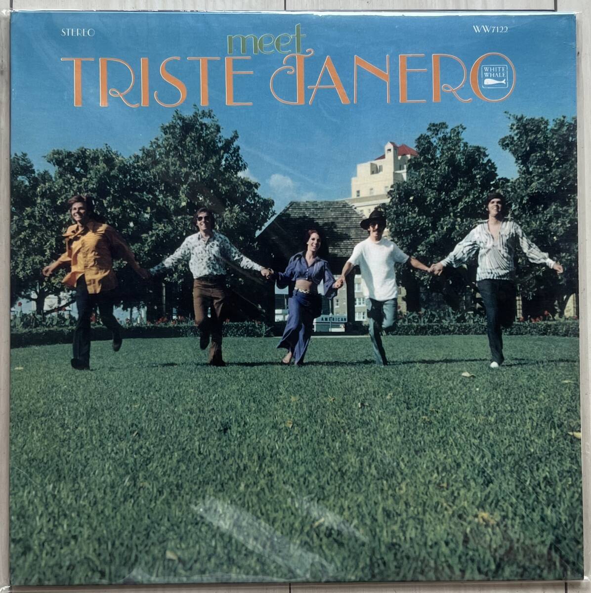 US盤 Triste Janero トリステ ジャネイロ Meet Triste Janero ソフトロック(ボサノバ)｜売買された ...