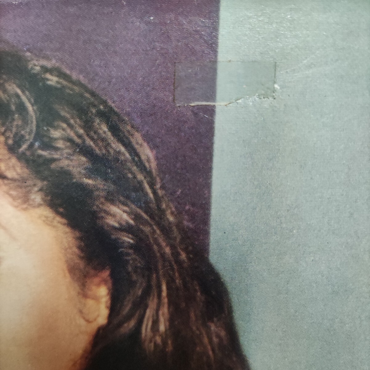 Vanity 6/Vanity 6/prince/日本盤/P-11305/歌詞カード付/セクシー ハリケーン/Brenda Bennett ...