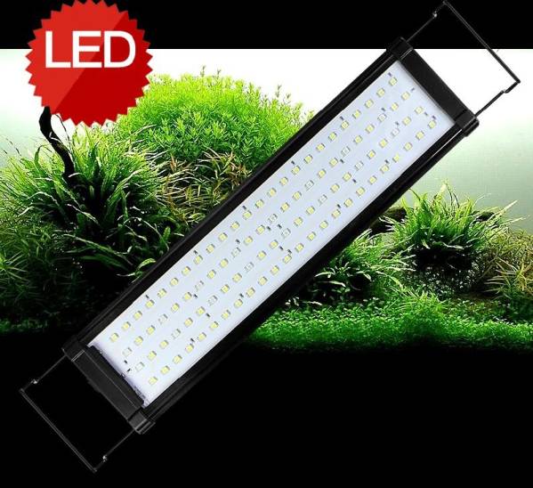 LED400 水槽用照明 アクアリウムライト45cm 60cm LED54発(その他)｜売買されたオークション情報、yahooの商品情報をアーカイブ公開 - オークファン（aucfan.com）