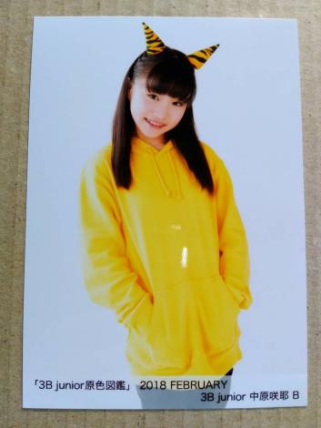 3B junior 原色図鑑 2018 FEBRUARY 2月 生写真 中原咲耶 B(さ行)｜売買されたオークション情報、yahooの商品情報をアーカイブ公開 - オークファン（aucfan.com）