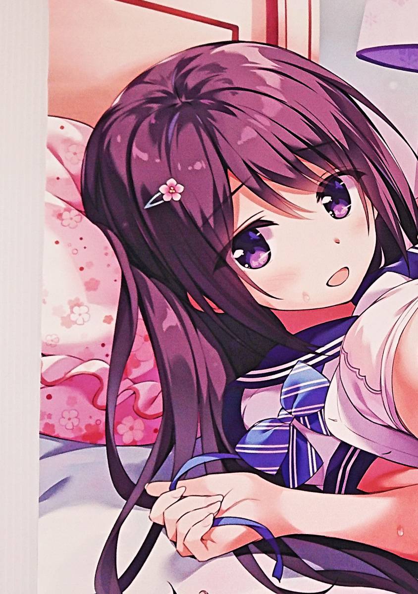 1円スタート メロンブックス P:P/おりょう/B2Wスエードタペストリー オリジナル 同人グッズ うりぼうざっか店 女子高生 制服 下着(タペストリー)｜売買されたオークション情報 ...