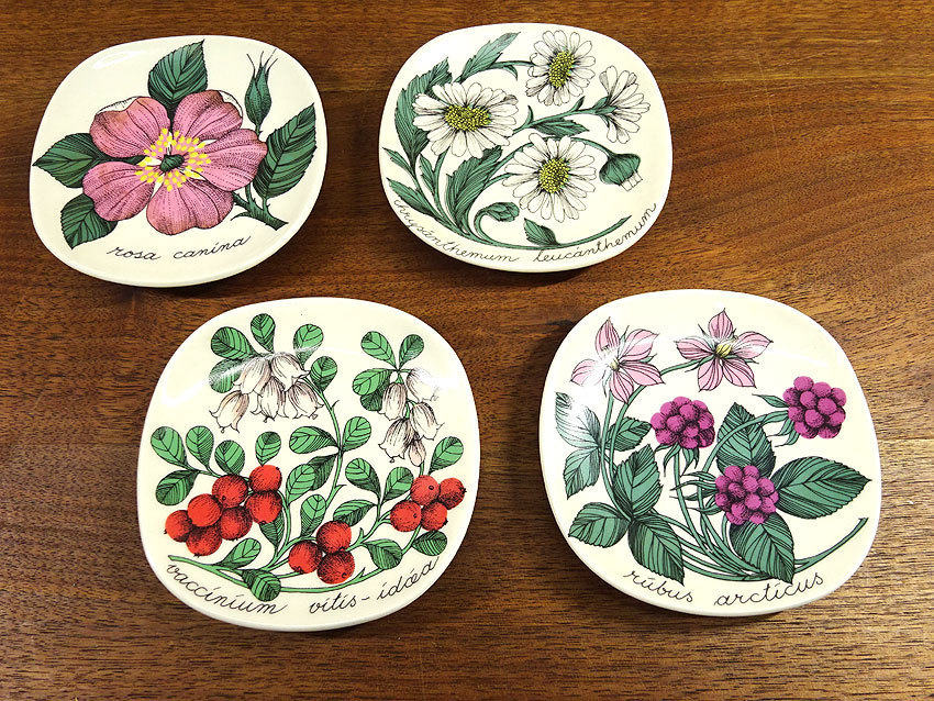 みどり屋本店 i2 e ARABIA アラビア エステリ トムラ ボタニカプレート イヌバラ フランスギク コケモモ チシマイチゴ/洋食器#80(アラビア)｜売買されたオークション情報 ...