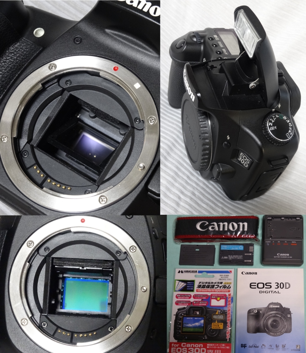 Canon EOS30D 防湿庫保管 コンディション良好 ワンオーナー品 充電池/充電機/取説書/ ストラップ/ボディキャップ/液晶保護フィルム付属(キヤノン)｜売買されたオークション情報 ...