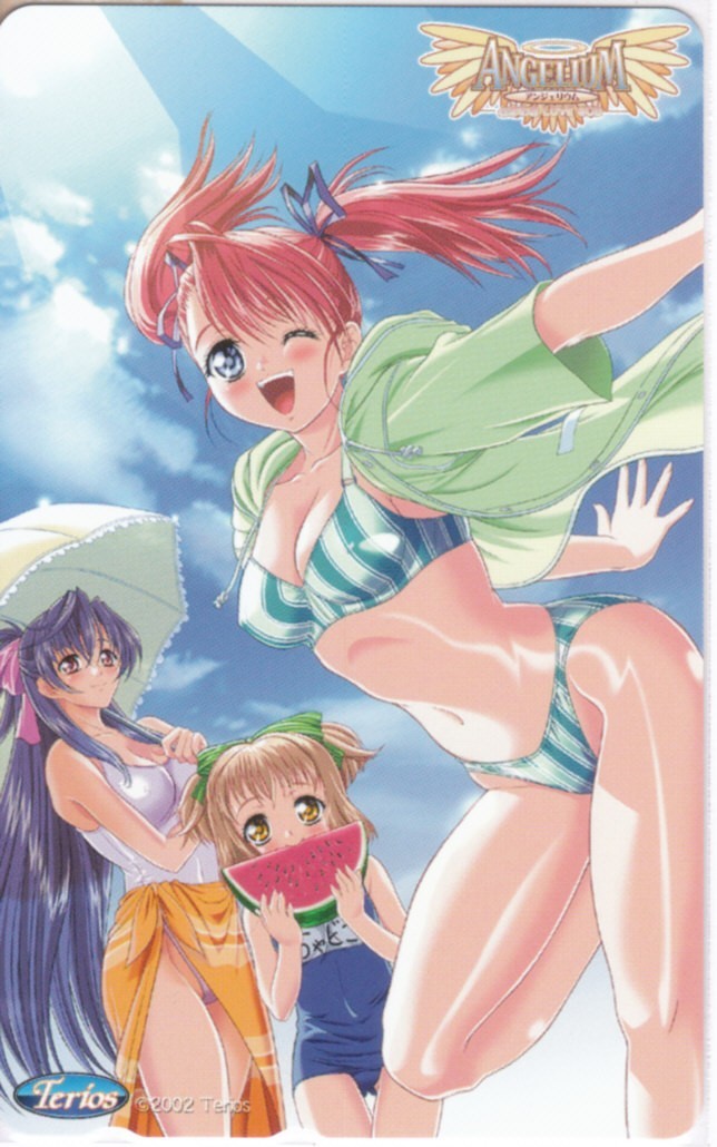 E12/2 ANGELIUM アンジェリウム テレカ/横田守/テリオス/水着(テレビゲーム)｜売買されたオークション情報、yahooの商品情報 ...