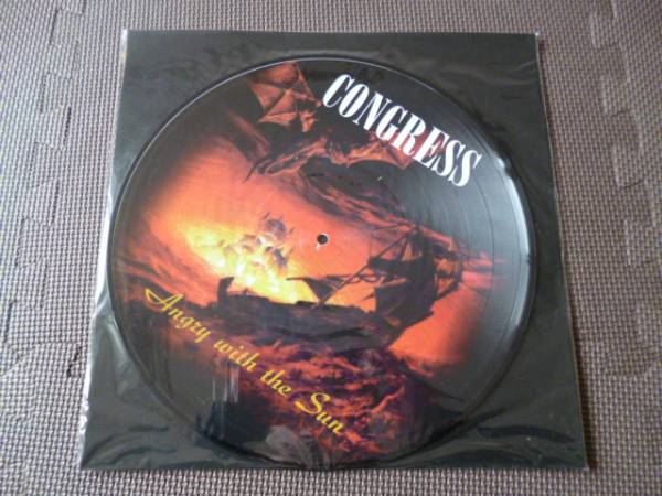 CONGRESS / Angry with the Sun H8000 メタルコア nyhc ハードコア morning again ...