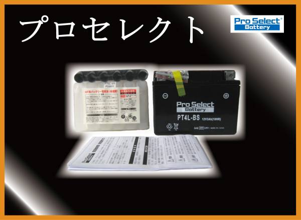 RG250ガンマ V21A 22A YT4L-BS互換バッテリーProSelect(バッテリー)｜売買されたオークション情報、yahooの商品 ...