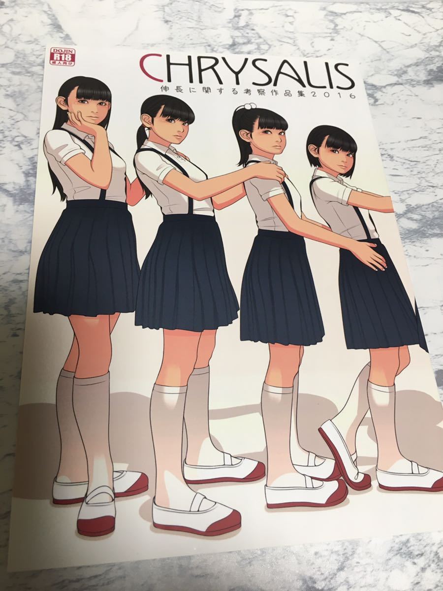 早い者勝ち 激レア 美少女 ヌード 学校 性徴 イラスト集 CHRYSALIS 伸長に関する考察作品集2016 保田塾 同人誌(イラスト集、原画集)｜売買されたオークション情報、yahooの ...