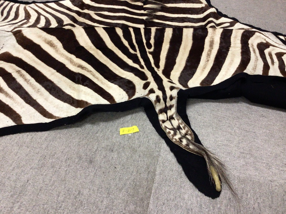 K―017 ラグ ゼブラ 敷物 詳細不明 シマウマ 毛皮 壁掛 オブジェ 革 ラグ アニマル 皮 カーペット 品(ラグ一般)｜売買されたオークション情報、yahooの商品情報をアーカイブ公開 ...