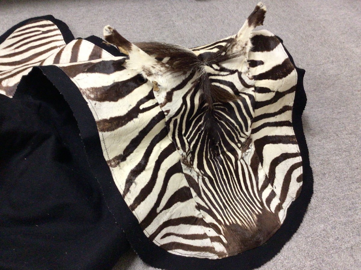 K―017 ラグ ゼブラ 敷物 詳細不明 シマウマ 毛皮 壁掛 オブジェ 革 ラグ アニマル 皮 カーペット 品(ラグ一般)｜売買されたオークション情報、yahooの商品情報をアーカイブ公開 ...