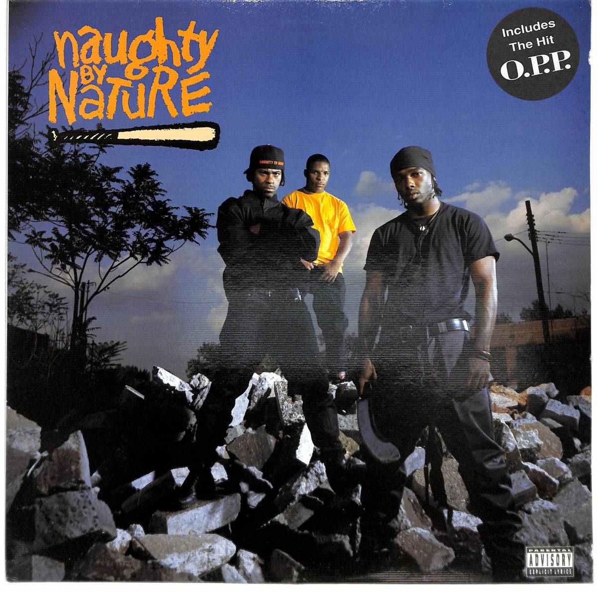 d8280/LP/英/ハイプステッカー付/Naughty By Nature(ラップ、ヒップホップ)｜売買されたオークション情報、yahooの ...