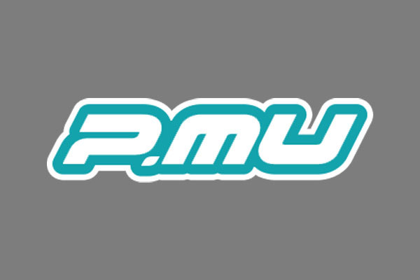 Project Mu プロジェクトミュー オリジナルステッカー P.MU 白枠 グリーン&ホワイト 56x215mm ST-PMUGW02 ...