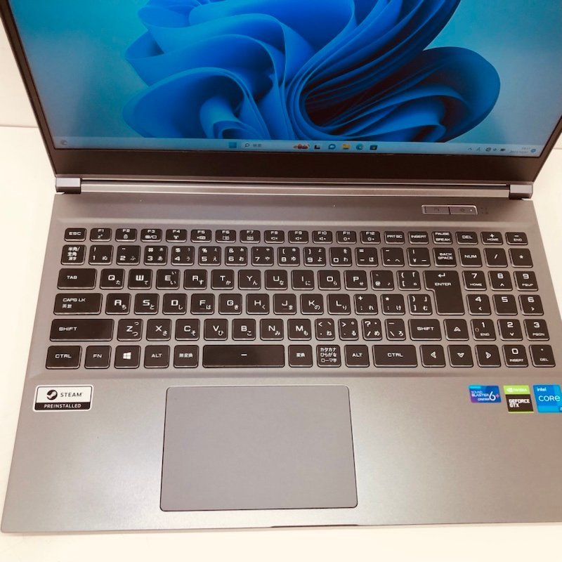 GALLERIA ガレリア RL5C-G50 Windows 11 Home Core i5-11400H 2.70GHz GeForce ...