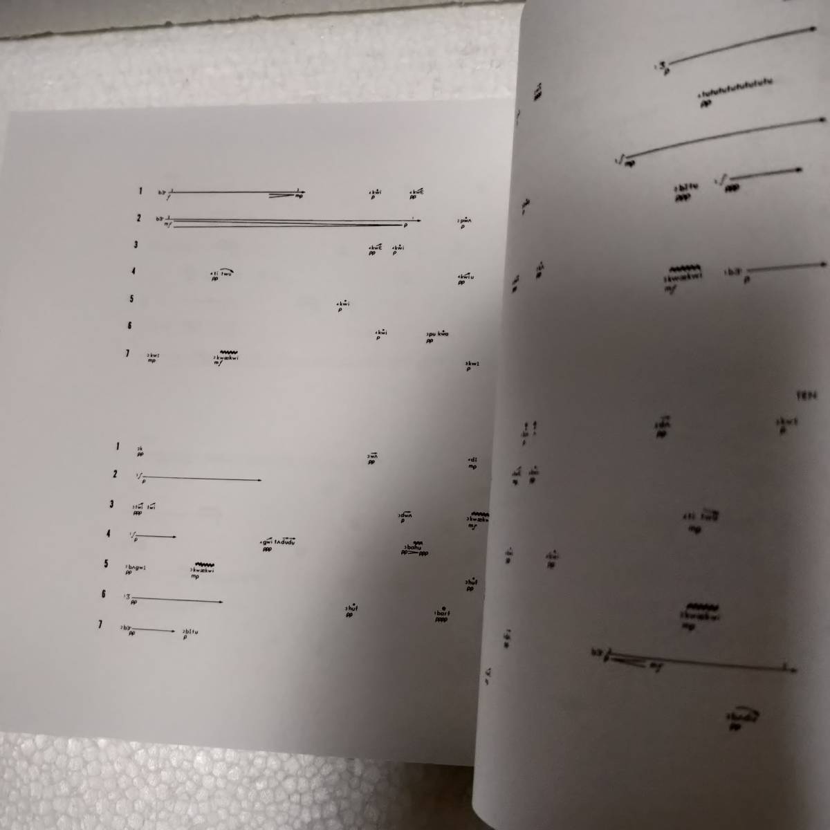 Writing Aloud: The Sonics Of Language / Book & CD / Errant Bodies Press ...