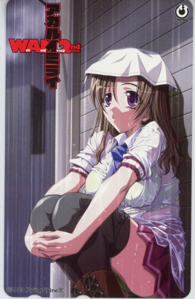 E37/7 アカルイミライ Wet And Messy 2nd time 特典テレカ/相川亜利砂/Flying Shine(テレビゲーム)｜売買されたオークション情報、yahooの商品情報を ...