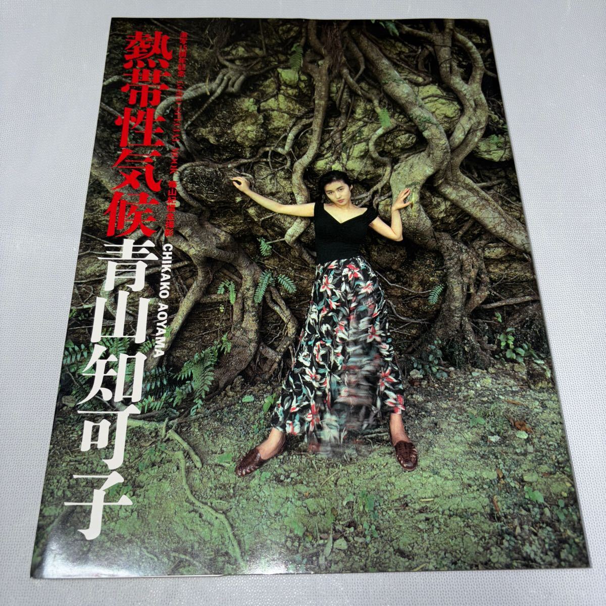 熱帯性気候 青山知可子 写真集 1990年5月10日 初版発行 激写15周年記念 撮影 篠山紀信 GORO SPECAL MOOK(あ行)｜売買されたオークション情報、yahooの商品情報を ...