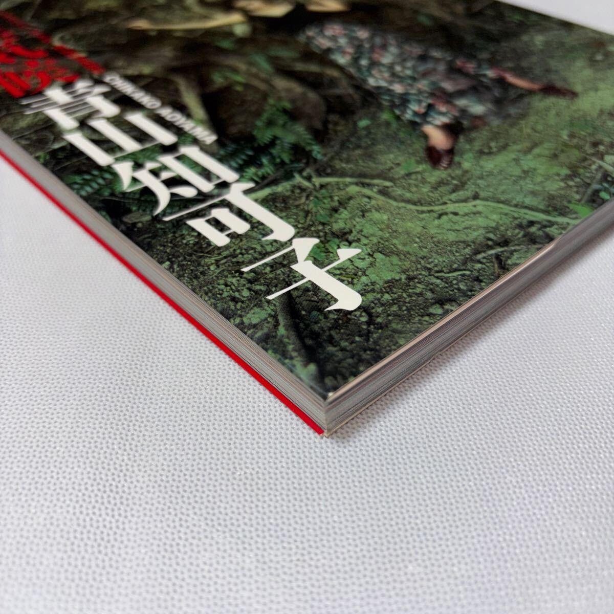 熱帯性気候 青山知可子 写真集 1990年5月10日 初版発行 激写15周年記念 撮影 篠山紀信 GORO SPECAL MOOK(あ行)｜売買されたオークション情報、yahooの商品情報を ...