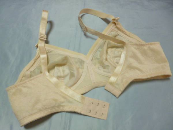 シャルレ FA022 ロゴモチーフのイエローヌード補正ブラ B85(80以上)｜売買されたオークション情報、yahooの商品情報をアーカイブ公開 - オークファン（aucfan.com）