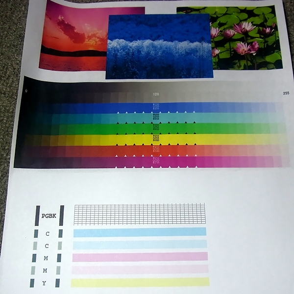 QY6-0064 プリントヘッド iP3100/MP740/iX4000/iX5000/560i/850(A4プリンタ)｜売買された ...