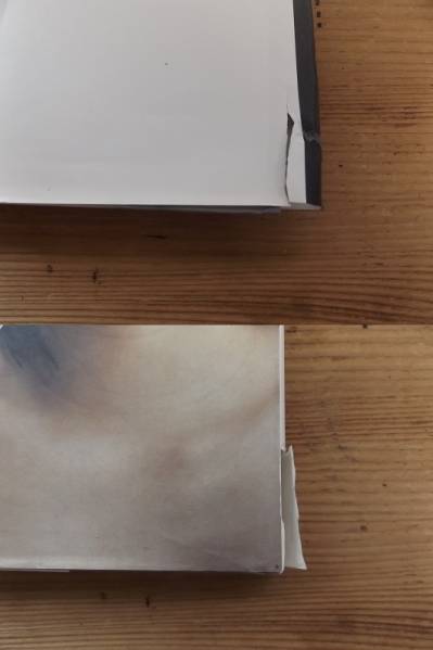 J194 菅野美穂 写真集 NUDITY ヘアヌード 宮沢正明(菅野美穂)｜売買されたオークション情報、yahooの商品情報をアーカイブ公開 ...