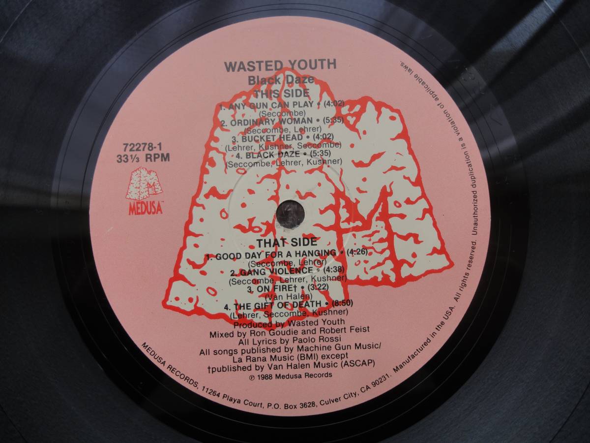 WASTED YOUTH オリジナル盤 EXCEL NO MERCY 666 GISM PUNK GAUZE SA RANCID パンク ...