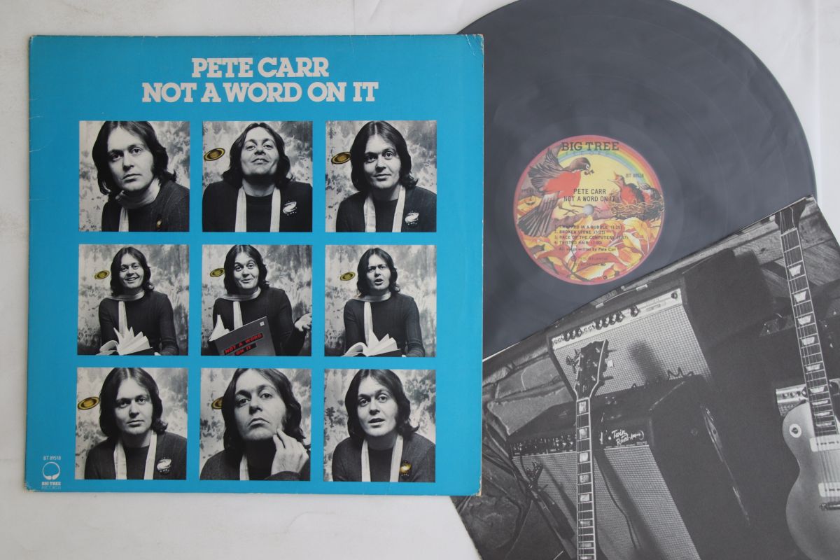 米LP Pete Carr Not A Word On It BT89518 BIG TREE /00250(ブルース)｜売買された ...