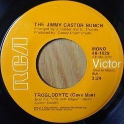 THE JIMMY CASTOR BUNCH / TROGLODYTE CAVE MAN(R&B、ソウル)｜売買されたオークション情報 ...